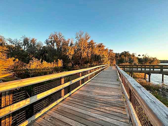 The wooden boardwalk stretches into golden-hour beauty, inviting visitors to venture deeper without sacrificing their clean shoes.