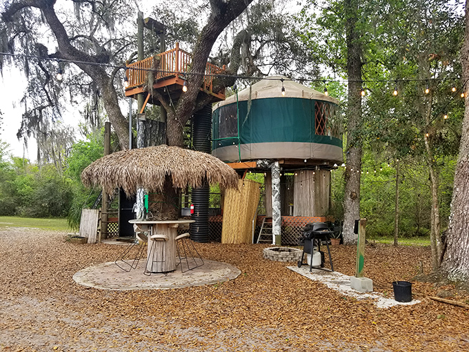 Front and center: This teal treehouse wonder wraps around ancient oak trees, proving that the best views aren't from penthouse suites but from nature's own skyscrapers.