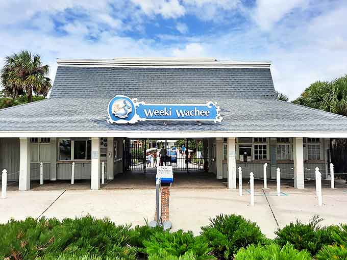 Front View: The charming Weeki Wachee entrance building with its blue roof and coastal architecture sets the tone for the old-Florida adventure that awaits beyond its doors.