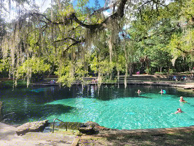Swimmers bask in the impossibly clear 72-degree waters while Spanish moss dangles overhead like nature's own cabana curtains.