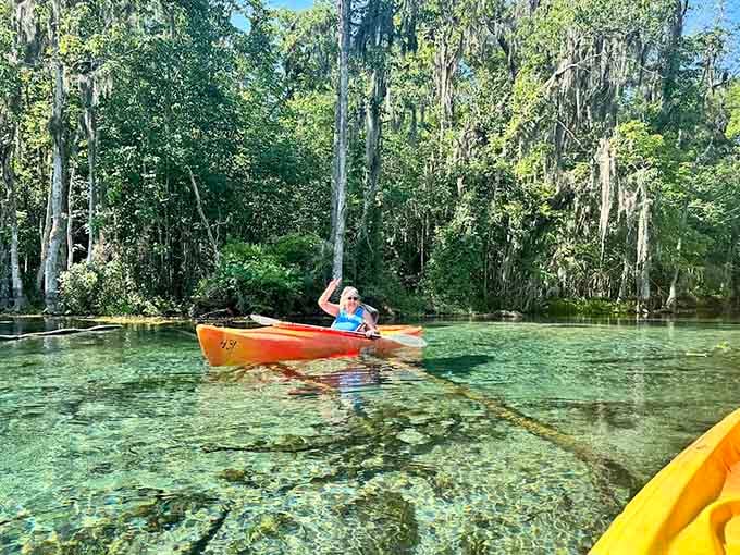 When the water is this transparent, fish probably wonder why they can't have any privacy, like living in a glass house but wetter.