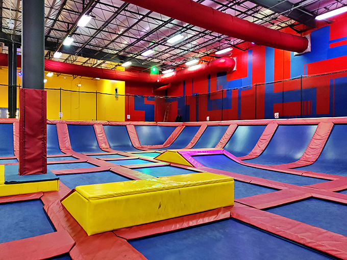 The trampoline area's vibrant design practically dares you not to smile – resistance is futile in this bouncy paradise.