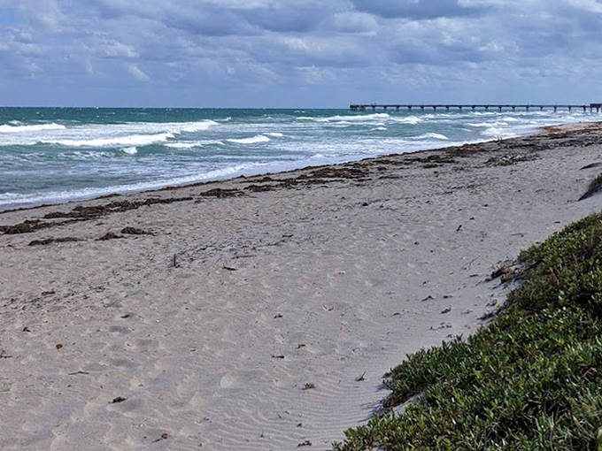 Waves gently kiss the shoreline as a fishing pier stretches toward the horizon – proof that some of life's best moments happen where land meets sea.