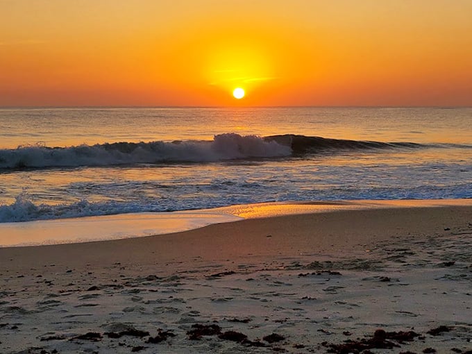 Nature's nightly masterpiece unfolds without admission fees. This Avalon sunset transforms the Atlantic into liquid gold, worth every minute of the drive.
