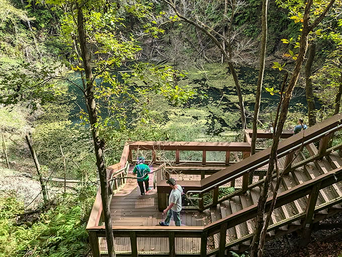 Nature's own observation deck, where visitors pause to absorb the verdant beauty of this geological wonder.