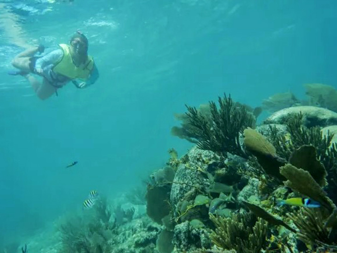 A snorkeler glides above vibrant coral formations in Biscayne National Park, where an underwater rainbow of life thrives just below the surface.