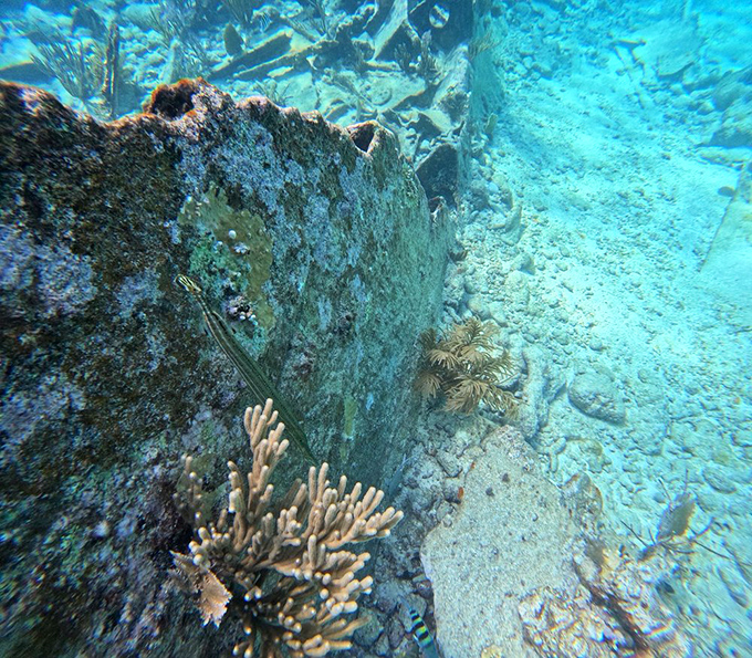Centuries-old shipwreck remains create an underwater time capsule, now home to coral colonies and curious fish in crystal-clear waters.