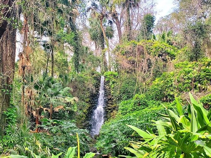 You've found an oasis! Walk through the lush jungle and discover this beautiful waterfall at Rainbow Springs.
