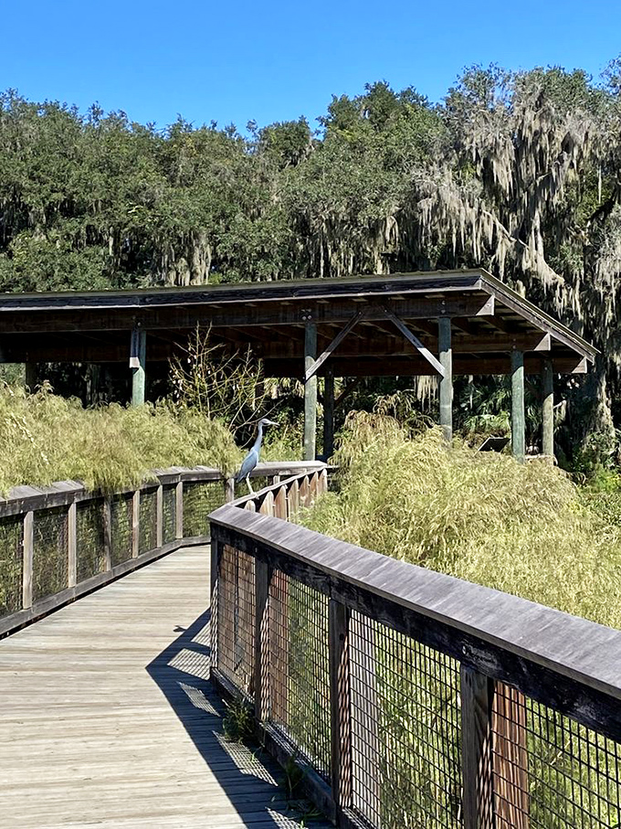 The covered observation shelter provides welcome shade and panoramic prairie views &ndash; nature's perfect living room for wildlife watching.