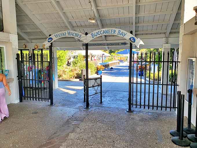 Entrance: "Buccaneer Bay" beckons through wrought iron gates, promising aquatic adventures that have delighted generations of Floridians since the park's mid-century heyday.