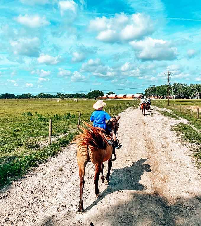 Nothing says "Florida vacation" quite like horseback riding through ranch country, where the only traffic jam involves cattle and the occasional very confident chicken.
