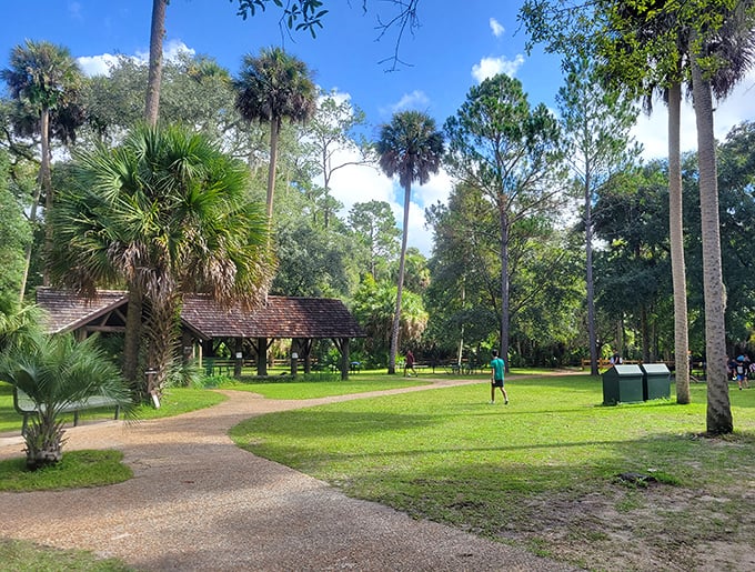 Dappled sunlight creates natural spotlights on this grassy stage where families perform the timeless ritual of outdoor dining.