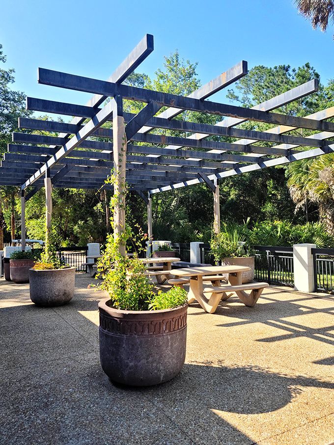 The shaded picnic area offers a perfect lunch spot after swimming, with rustic wooden tables beneath a pergola that's seen generations of family gatherings.