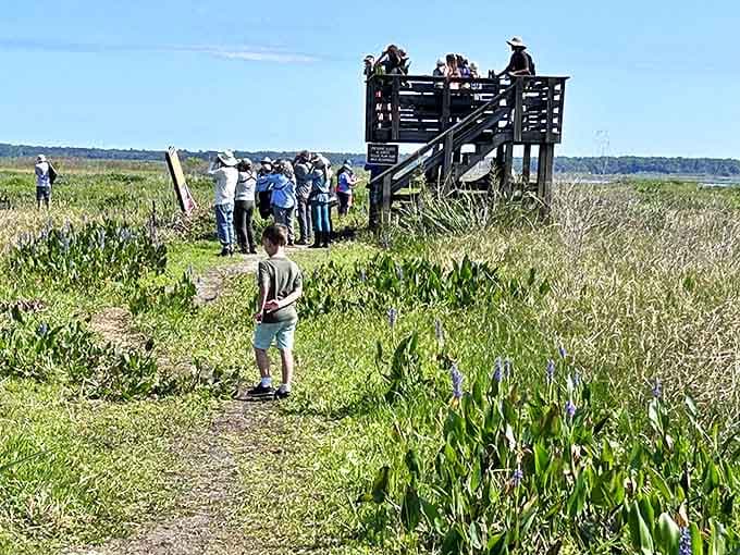 Wildlife enthusiasts gather at the observation deck, proving that in nature's theater, everyone wants front-row seats.