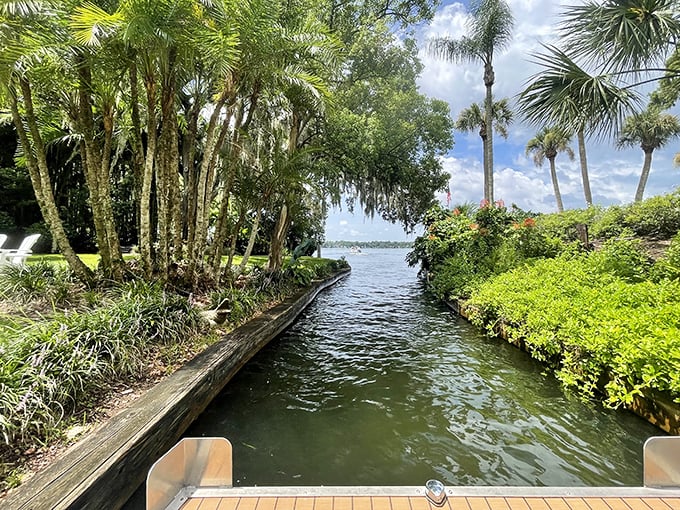 Gliding through narrow passages where cypress knees and tropical vegetation create Florida's version of a jungle cruise, minus the animatronics.