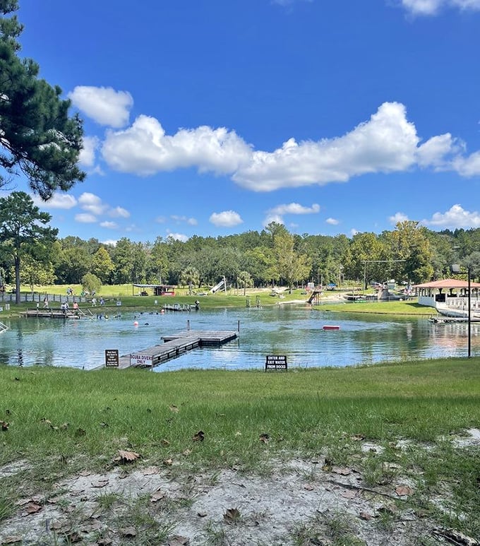 Massive area: A natural amphitheater of pines surrounds the spring, creating a perfect backdrop for summer memories that last a lifetime.