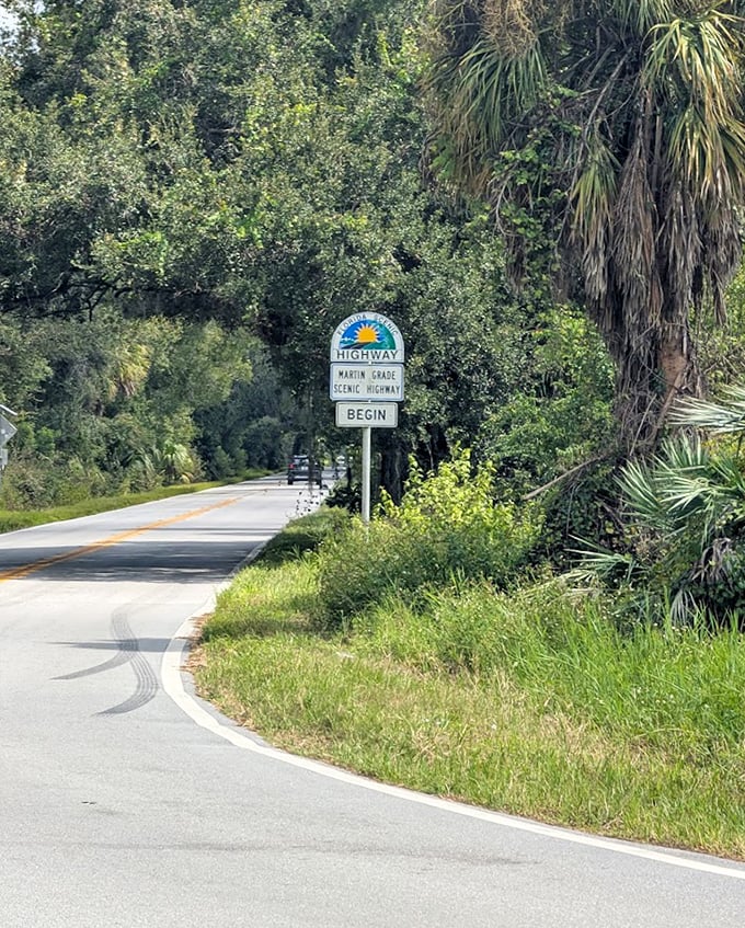 The official marker stands sentinel at the entrance to this natural wonder, a modest sign announcing an immodest display of Florida's arboreal majesty.
