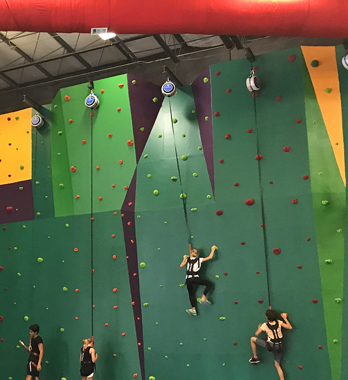 Rock climbing walls challenge gravity-defiers of all skill levels, from "first-timer" to "secretly part mountain goat."