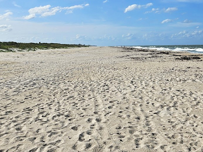Miles of untouched shoreline where your footprints might be the only human signature. Social distancing as Mother Nature intended it.