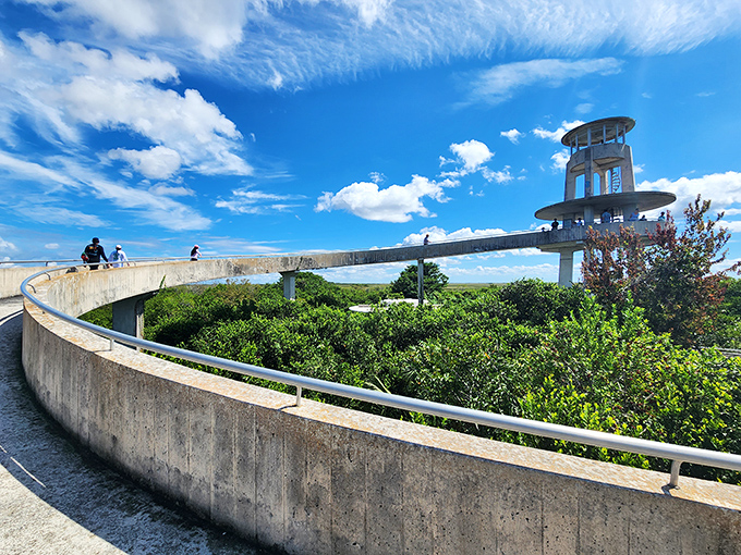 The concrete pathway curves invitingly toward the tower, like a yellow brick road for nature enthusiasts instead of Oz seekers.
