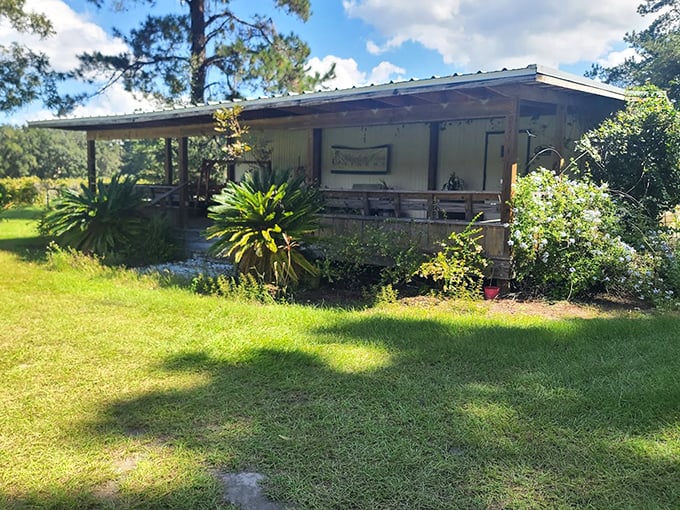 Bluefield Estate Winery's rustic outdoor seating area invites visitors to slow down and savor both the wines and the peaceful surroundings.