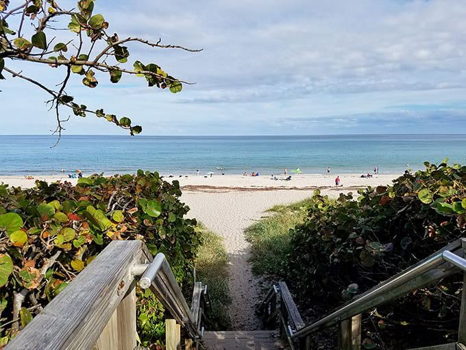 This peaceful beach access in Hobe Sound offers soft sand and gentle waves for the perfect Florida day.
