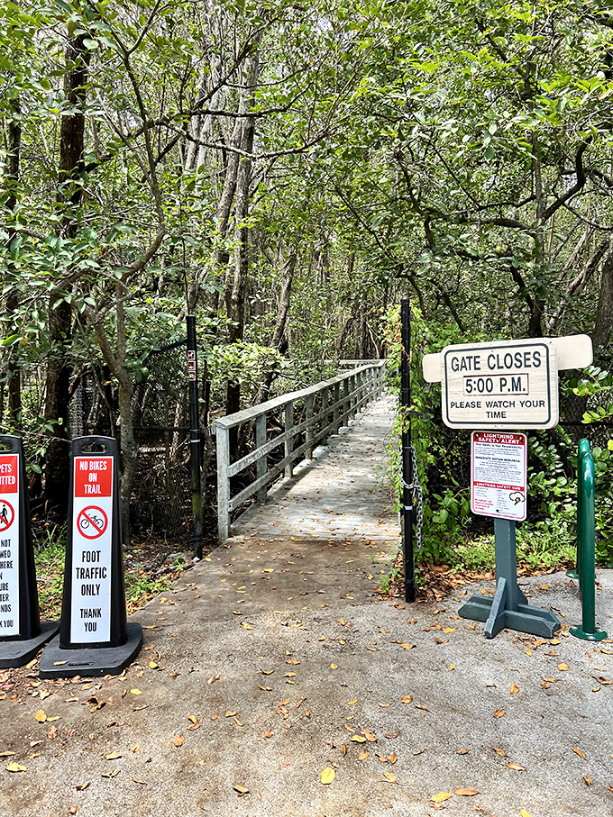 Secret Woods' shaded boardwalk invites visitors into a pocket of wilderness, where city stress dissolves with each step into the green embrace.