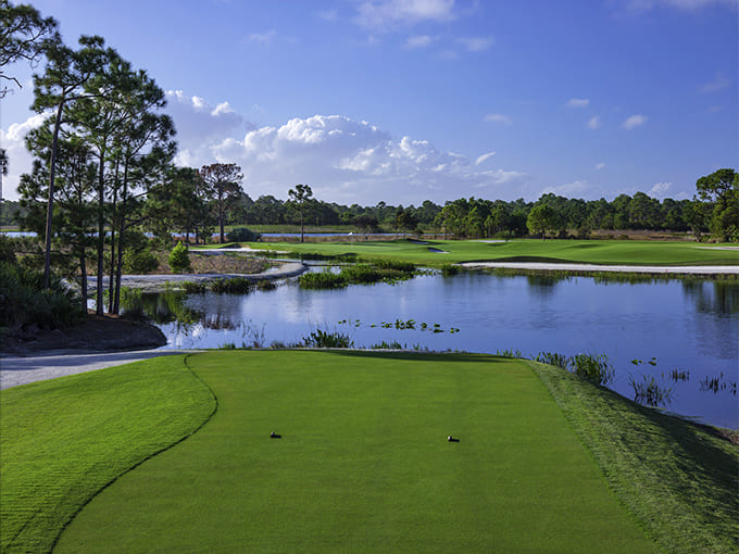 Golf courses near Hobe Sound blend manicured greens with natural wetlands, creating scenery that's almost too pretty to play through.