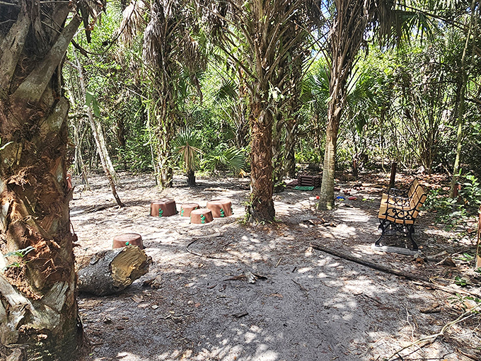 A hidden meditation spot among the palms at Secret Woods, where sunlight filters through leaves creating nature's own stained glass.