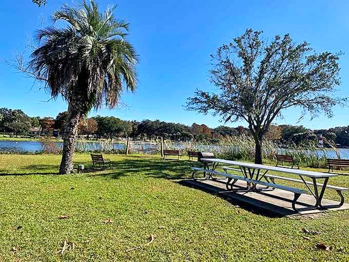 Elizabeth Evans Park delivers those "wish you were here" moments with every sunset &ndash; the kind of view that makes smartphone cameras work overtime.