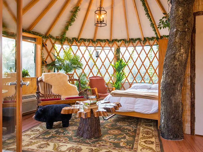Inside, rustic luxury meets treehouse fantasy with natural wood elements, cozy furnishings, and an actual tree trunk that doubles as nature's room divider.