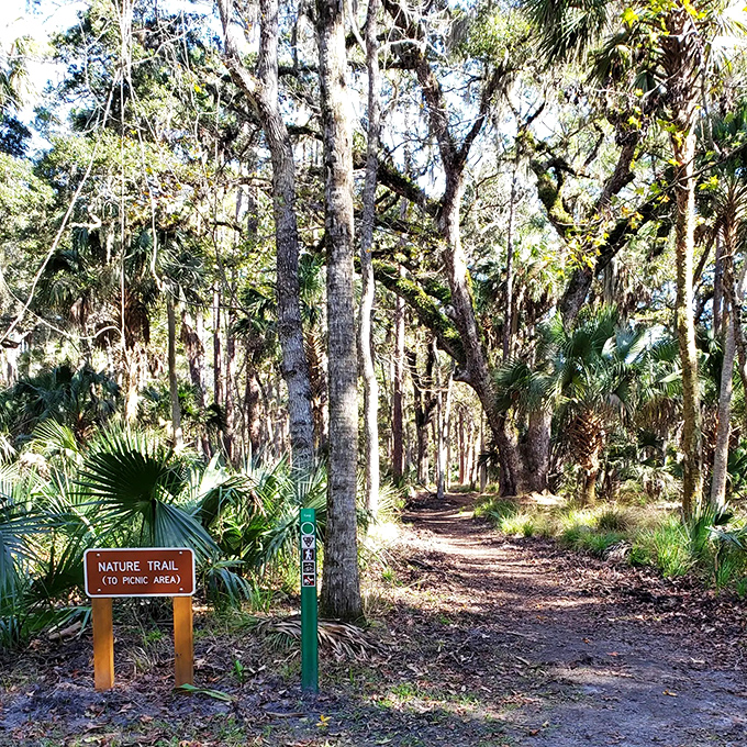 Mother Nature's hallway! This serene trail invites you to wander where sugar barons and their workers once traveled daily.