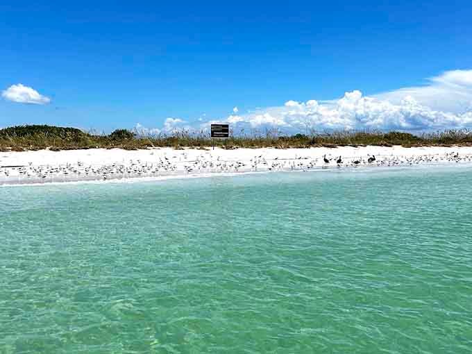 Water so clear you'll spend half your visit just staring at it like it personally offended your concept of reality.