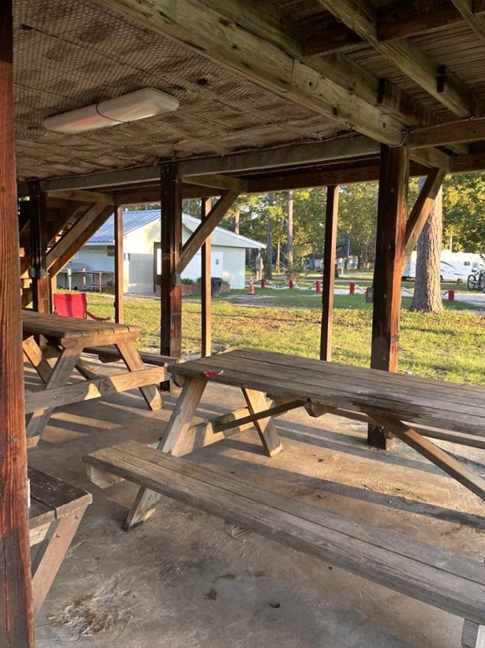 Covered picnic area: Rustic wooden shelters offer the perfect spot to refuel between underwater adventures, complete with pine-scented breezes.