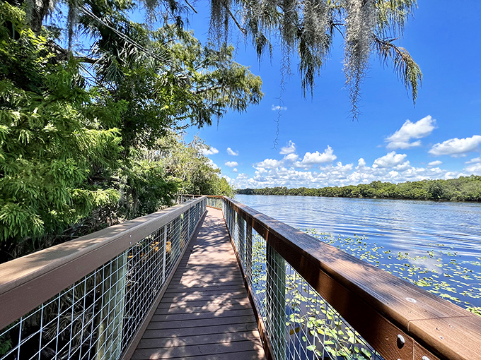 A serene lake view rewards hikers, with lily pads dotting the surface like nature's own mosaic art installation.