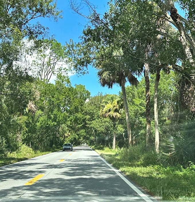 The beginning of magic &ndash; where ordinary road transforms into an extraordinary journey through Old Florida's natural splendor.