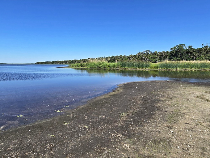 Mirror, mirror on the water &ndash; Myakka's pristine shoreline offers reflections so perfect they'd make a photographer weep with joy.