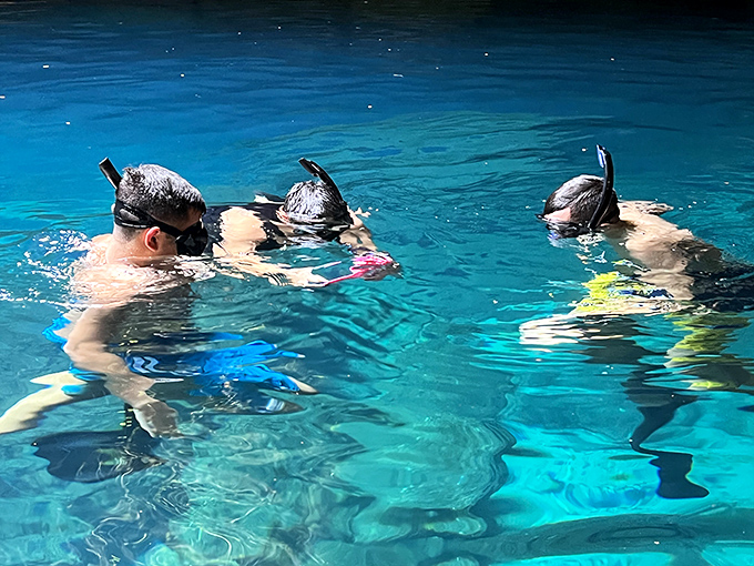 Underwater explorers: Snorkelers glide through transparent waters, discovering a world few get to experience firsthand.