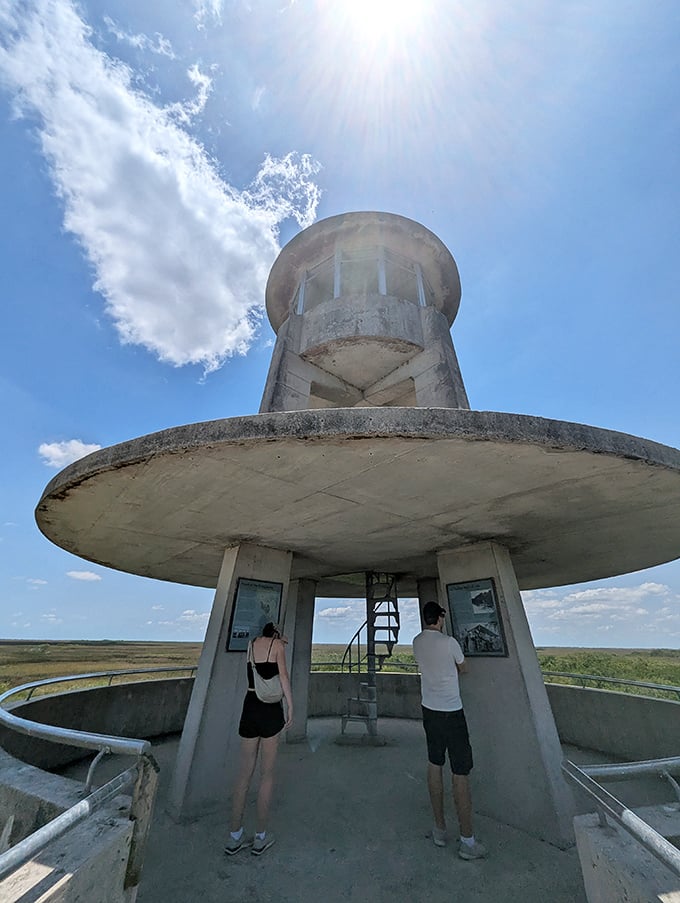 Visitors explore the observation deck, probably debating whether this view or their last vacation selfie deserves more phone storage space.