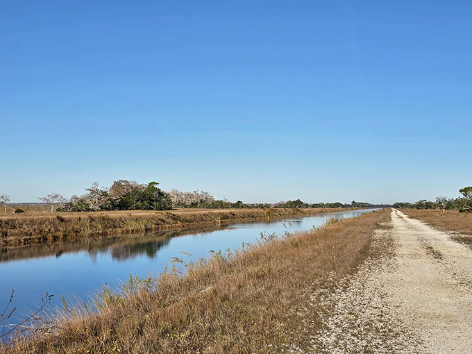 The Southern Glades Trail winds through golden prairies where nature still runs wild and free.
