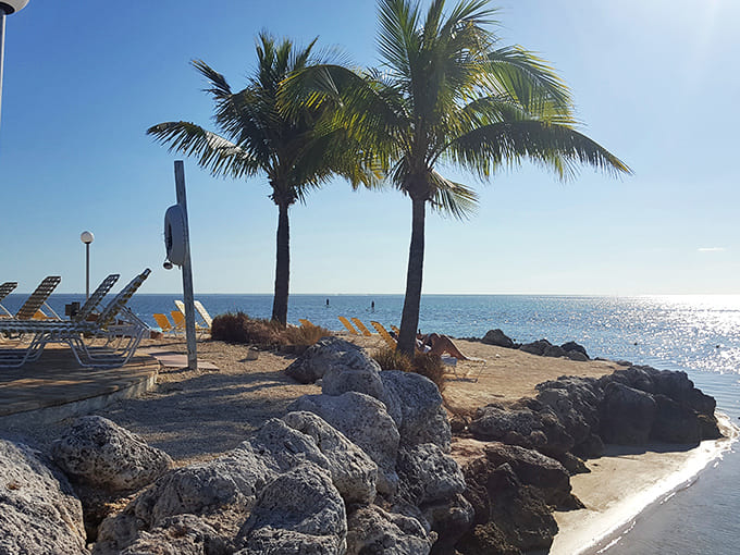 Wetland paths in the Southern Glades reflect the sky like nature's mirror, peaceful and pristine.