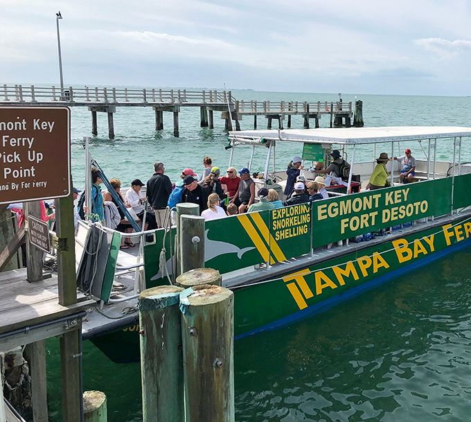 All aboard! The Tampa Bay Ferry delivers adventurers to Egmont Key's shores, with dolphins often providing the welcoming committee.