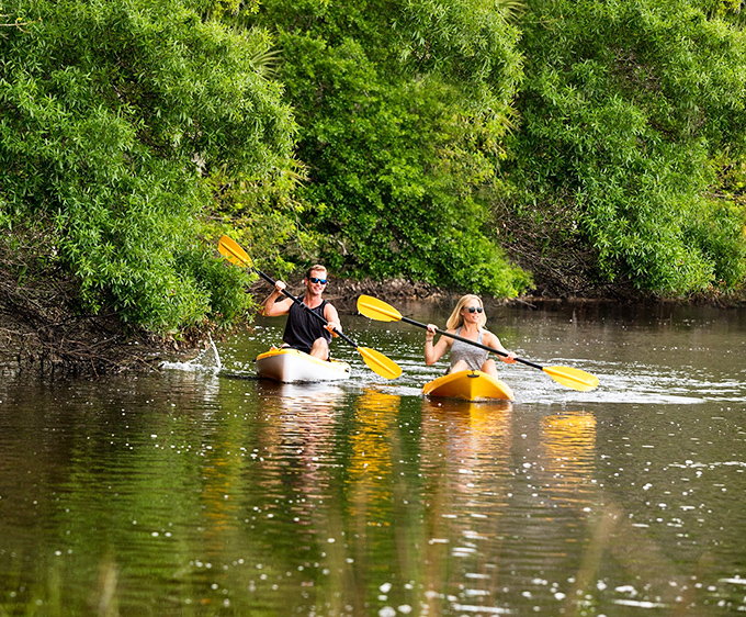Two kayakers paddle through nature's embrace, yellow vessels gliding through calm waters while lush greenery creates a perfect sanctuary.