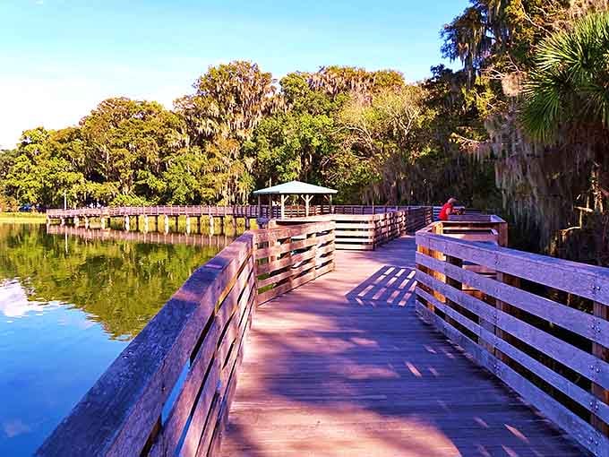 Palm Island Boardwalk lets you walk through a Florida that existed before mouse ears and roller coasters &ndash; primeval, peaceful, and perfectly preserved.
