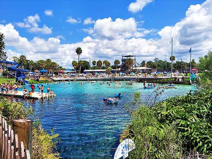 Visitors: Families cool off in the refreshing 74-degree spring waters of Buccaneer Bay, where swimming alongside fish feels like being part of a natural aquarium. 