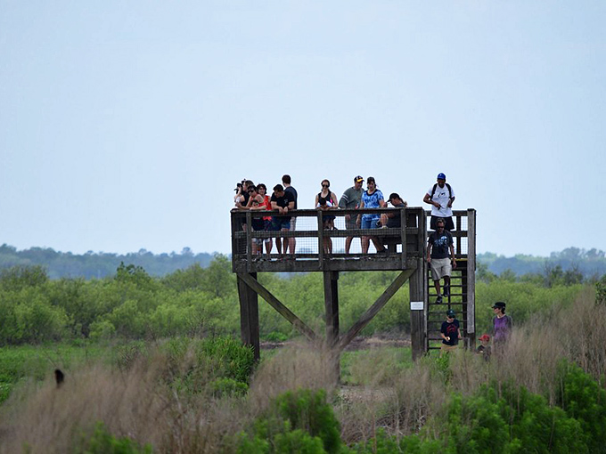 From this elevated perch, visitors gather to witness nature's theater unfold across the vast prairie stage below.
