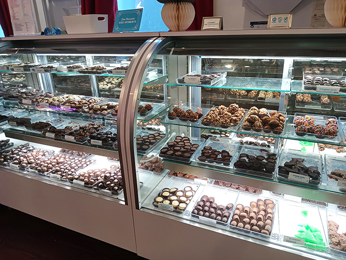 The chocolate display case &ndash; where resistance is futile and "I'll just have one piece" becomes the day's biggest lie.