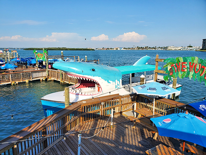 "I'm gonna need a bigger boat!" This grinning shark attraction offers thrills without the danger, perfect for those Jaws-dropping photo opportunities.