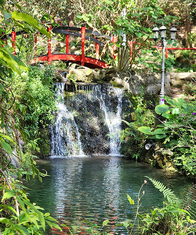 Water cascades over ancient limestone, creating nature's perfect soundtrack. The waterfall's gentle roar drowns out everything except wonder.