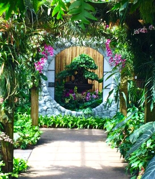 5500 orchids florida ftr